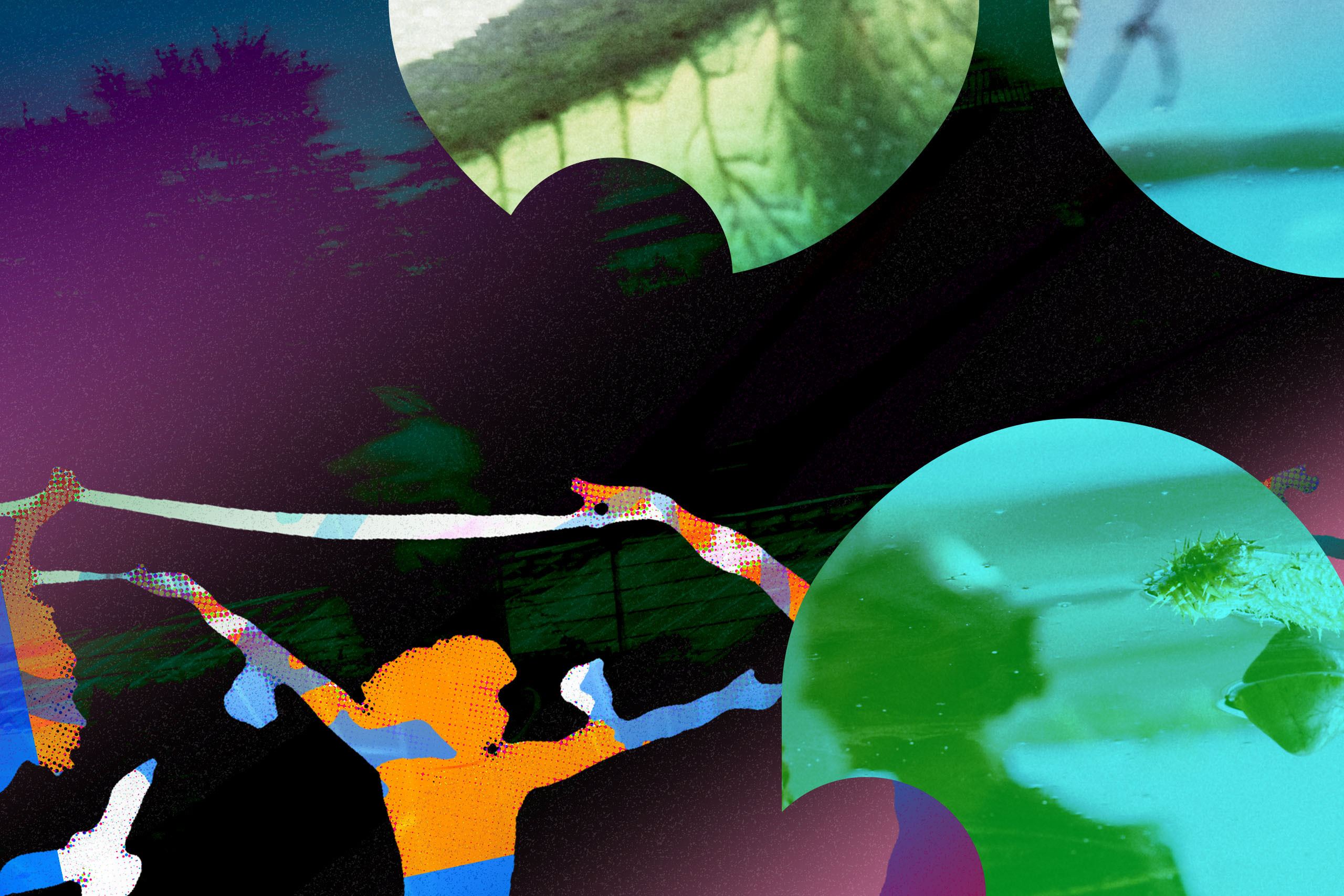 Going cookieless: How to collect first-party data